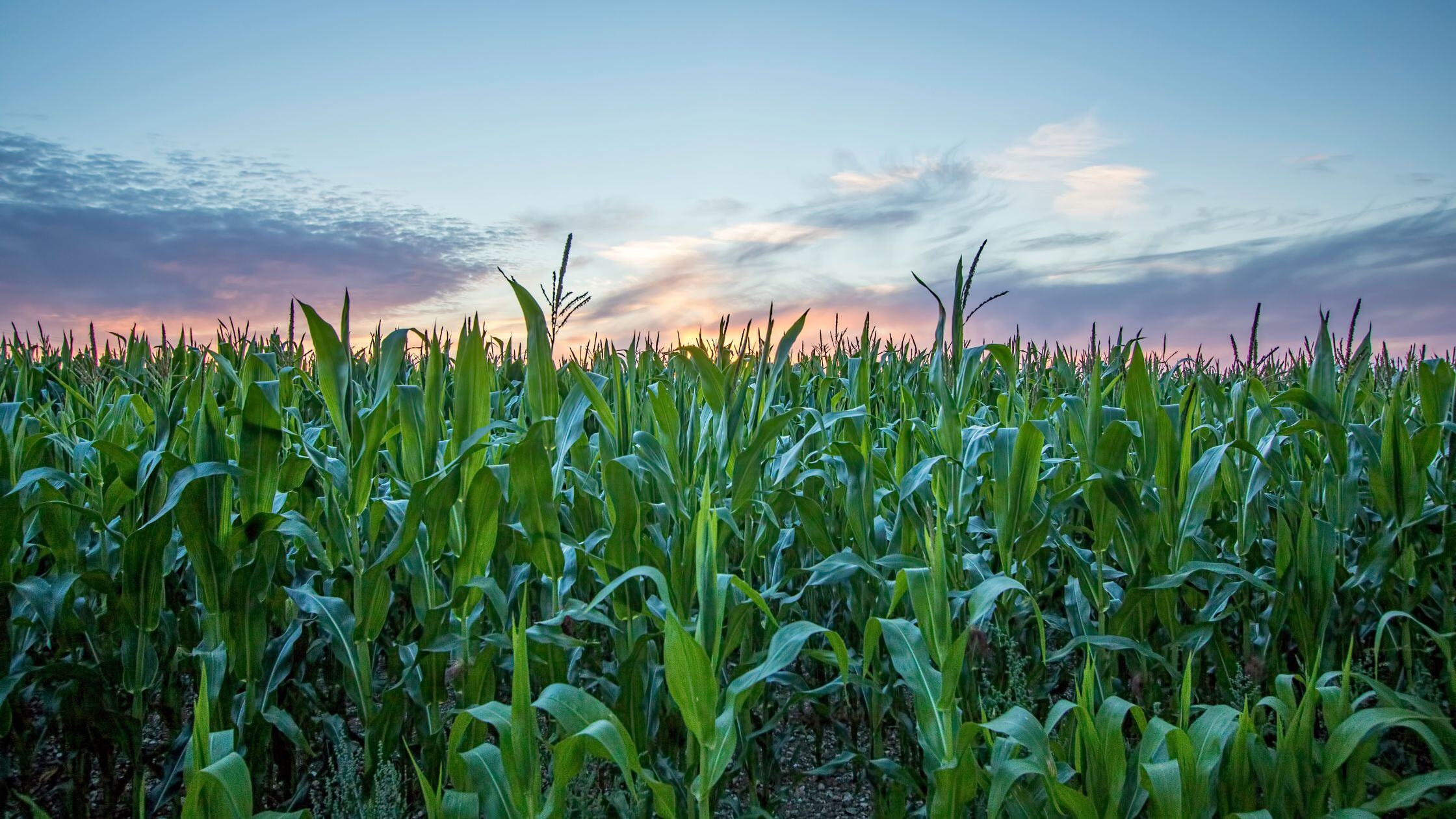 Bluetooth Data Logger For Sensor Monitoring